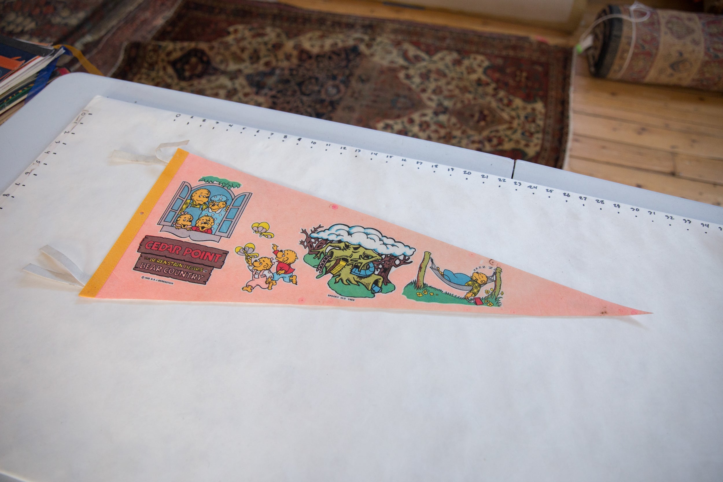 Cedar point The Berenstain Bears Bear Country Felt Flag Pennant