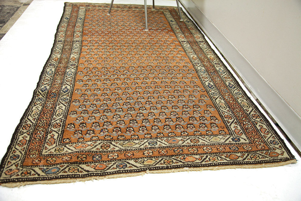3x6 Rusty Red Vintage Area Rug