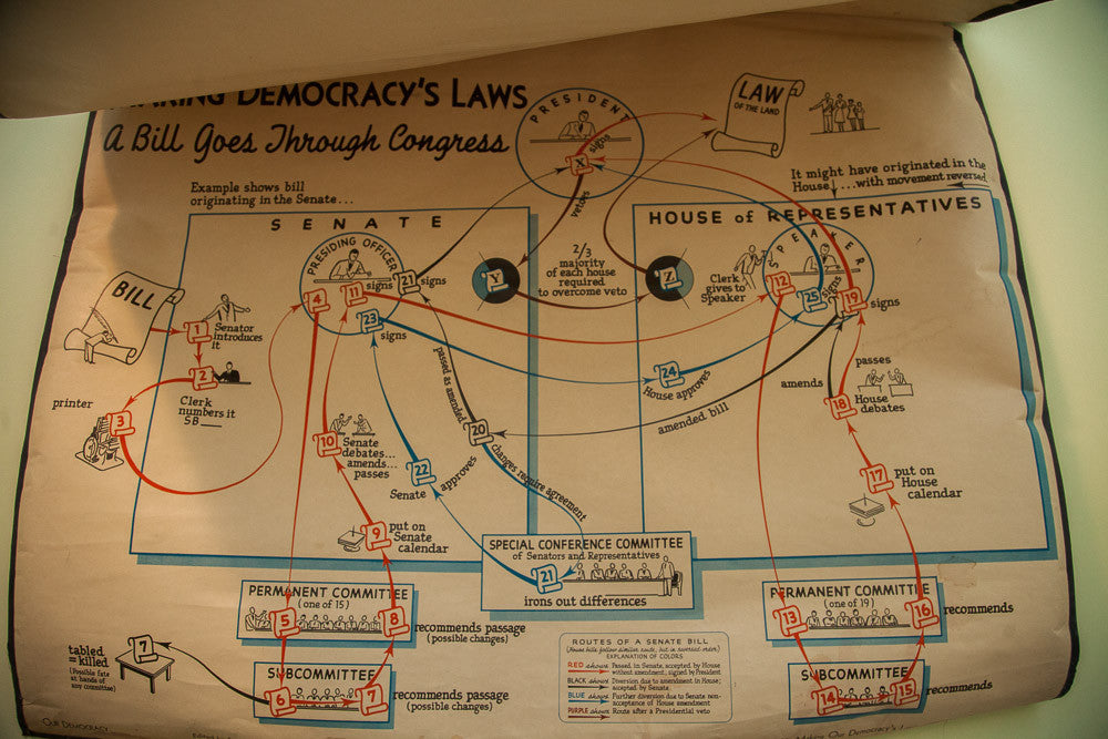 Vintage 60s Denoyer Geppert Our Democracy Chart