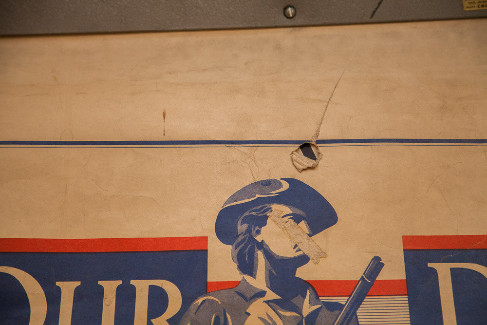 Vintage 60s Denoyer Geppert Our Democracy Chart