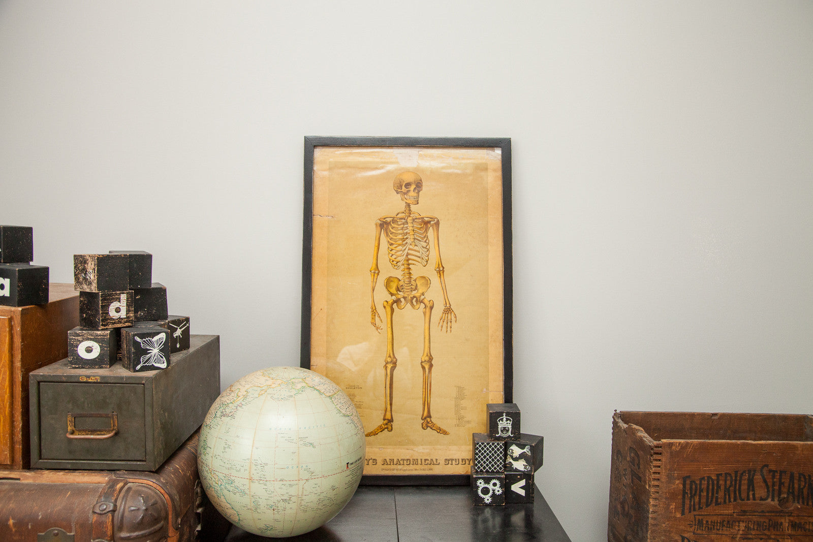 19th Century Skeleton Chart Framed