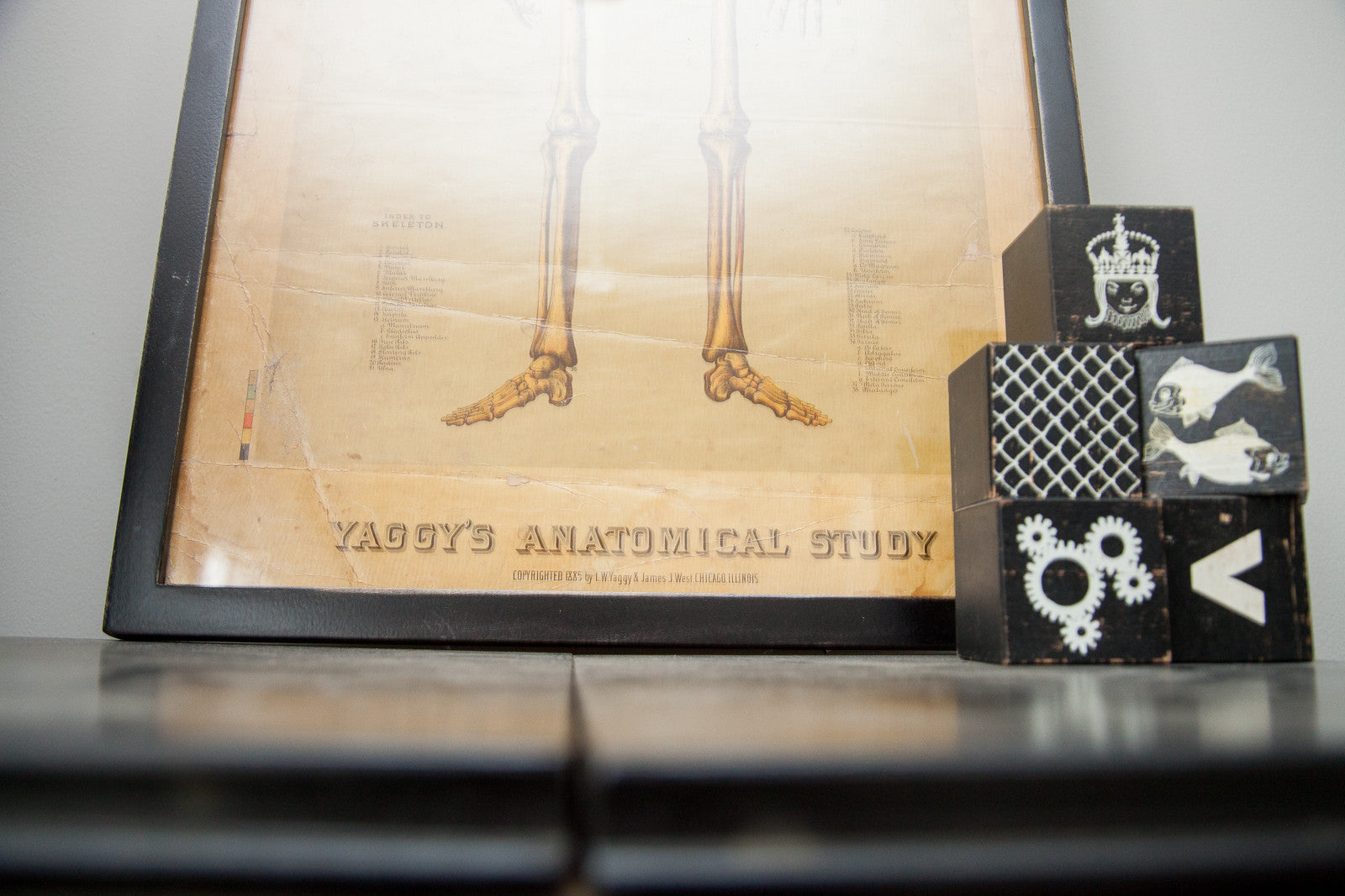 19th Century Skeleton Chart Framed