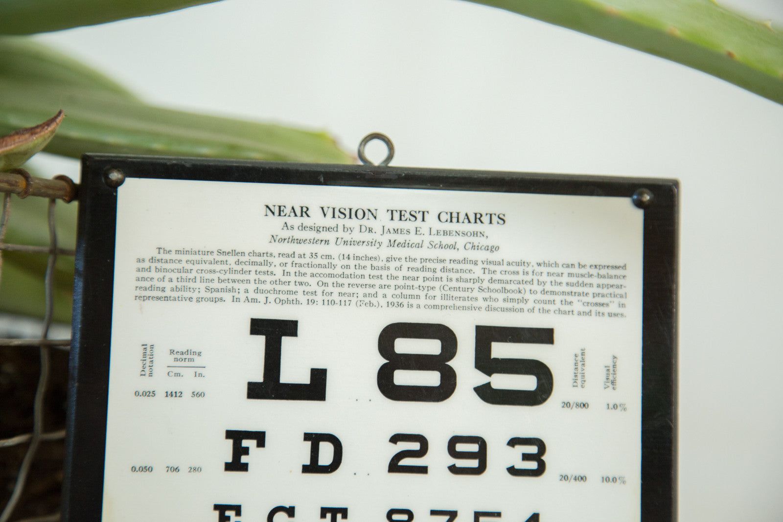 Vintage Eye Chart Near Vision Exam Plaque – Item #2018