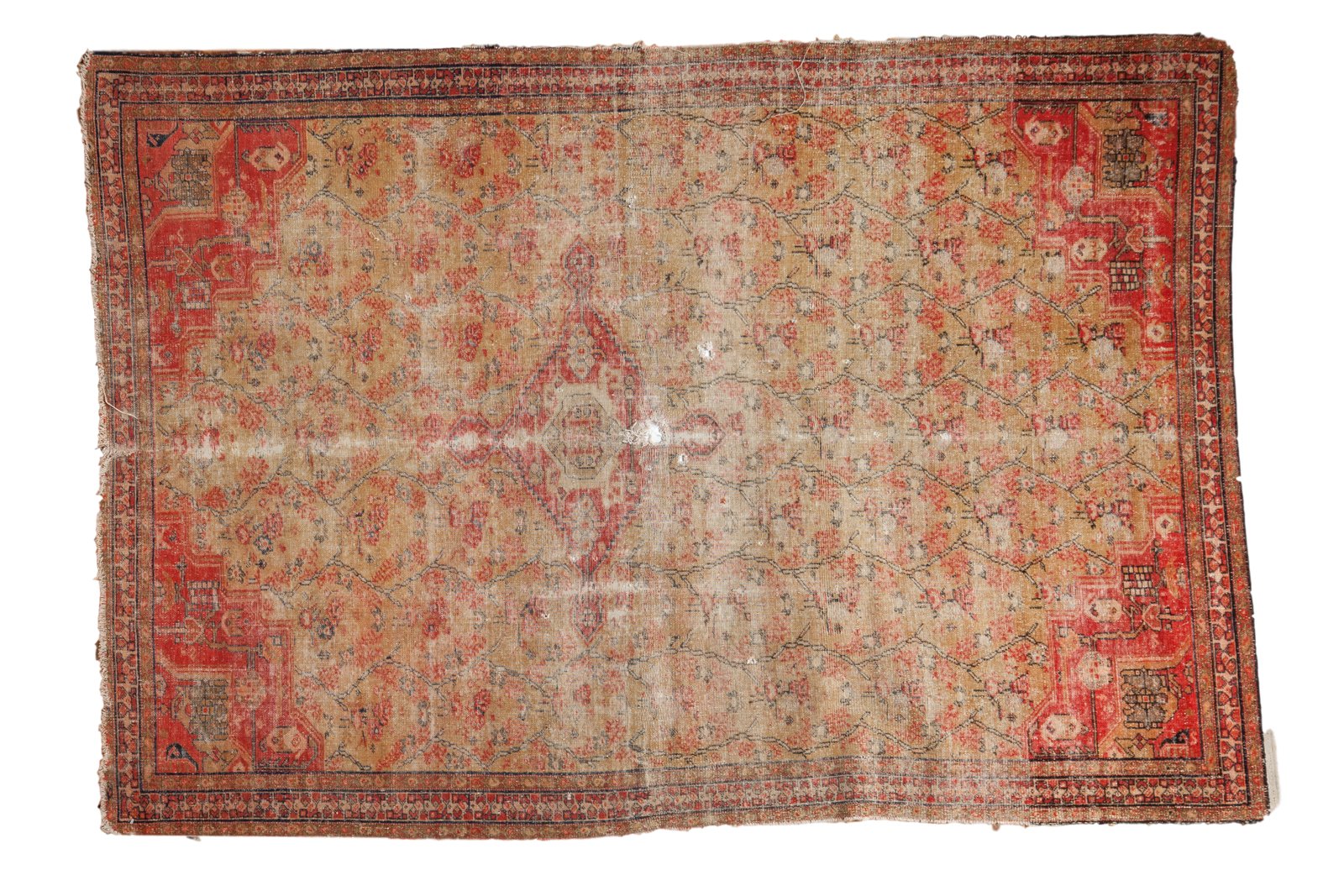4x6 Antique Zuli Sultan Rug