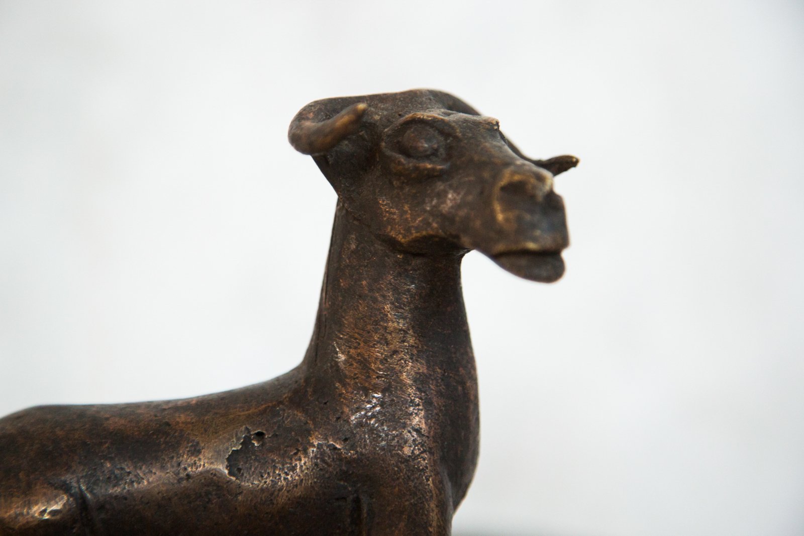 Copper Vintage African Ram