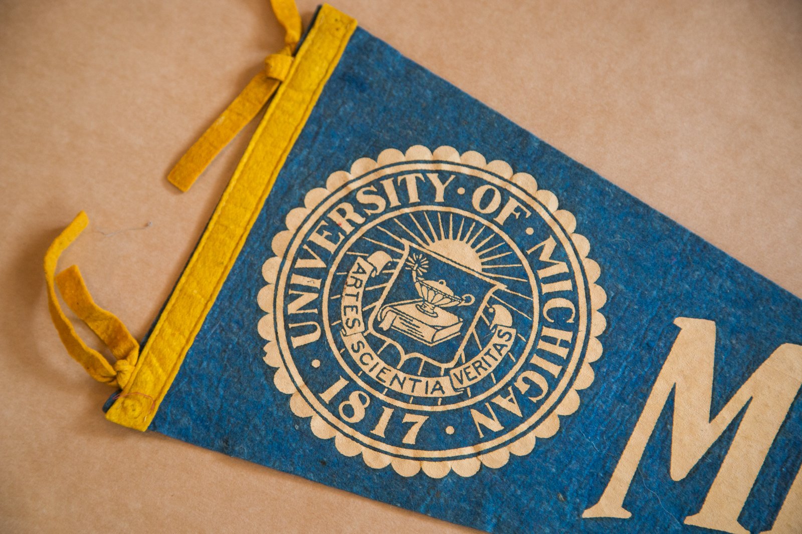 University of Michigan Felt Flag
