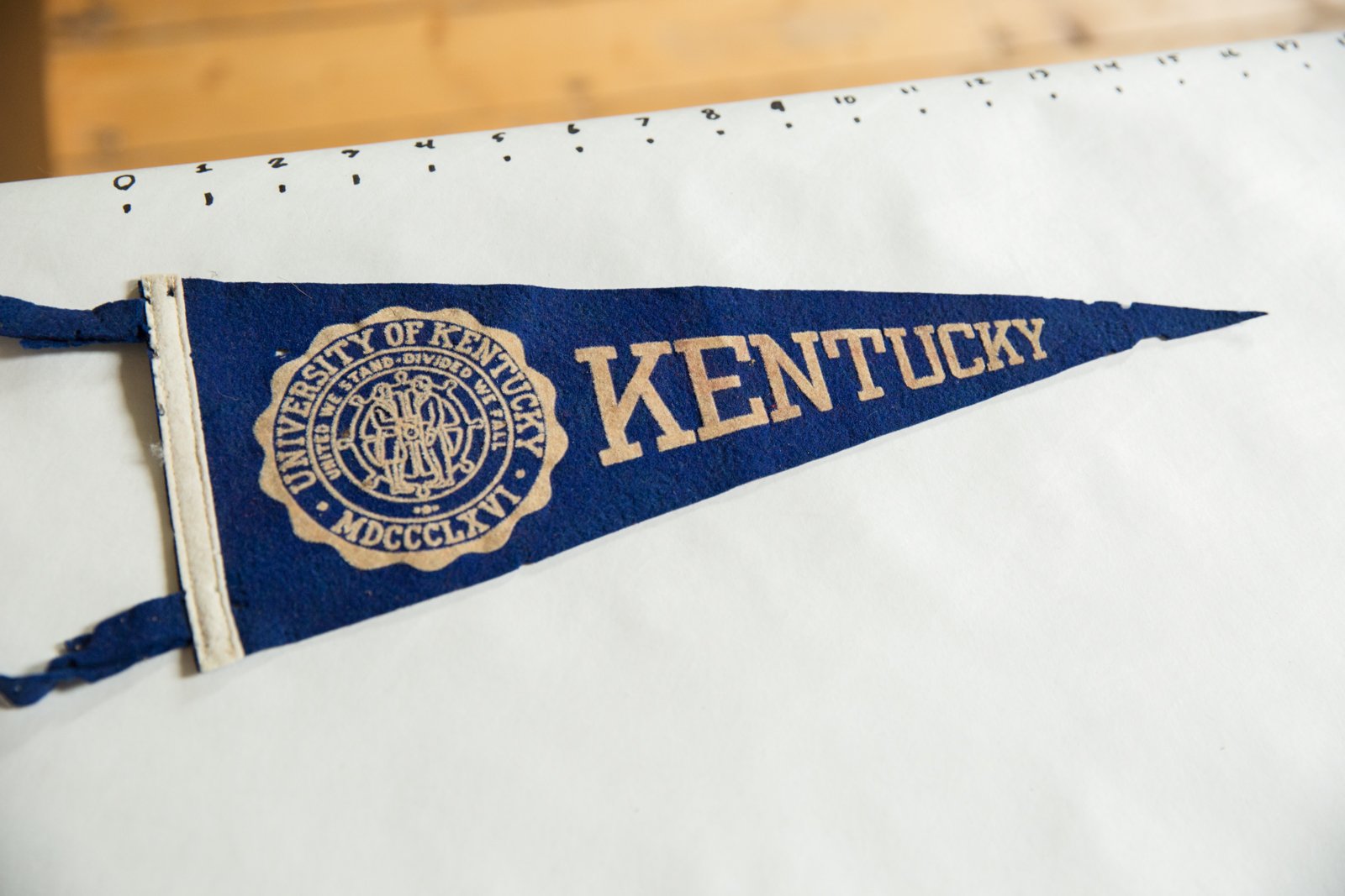 Vintage Kentucky Felt Flag Pennant