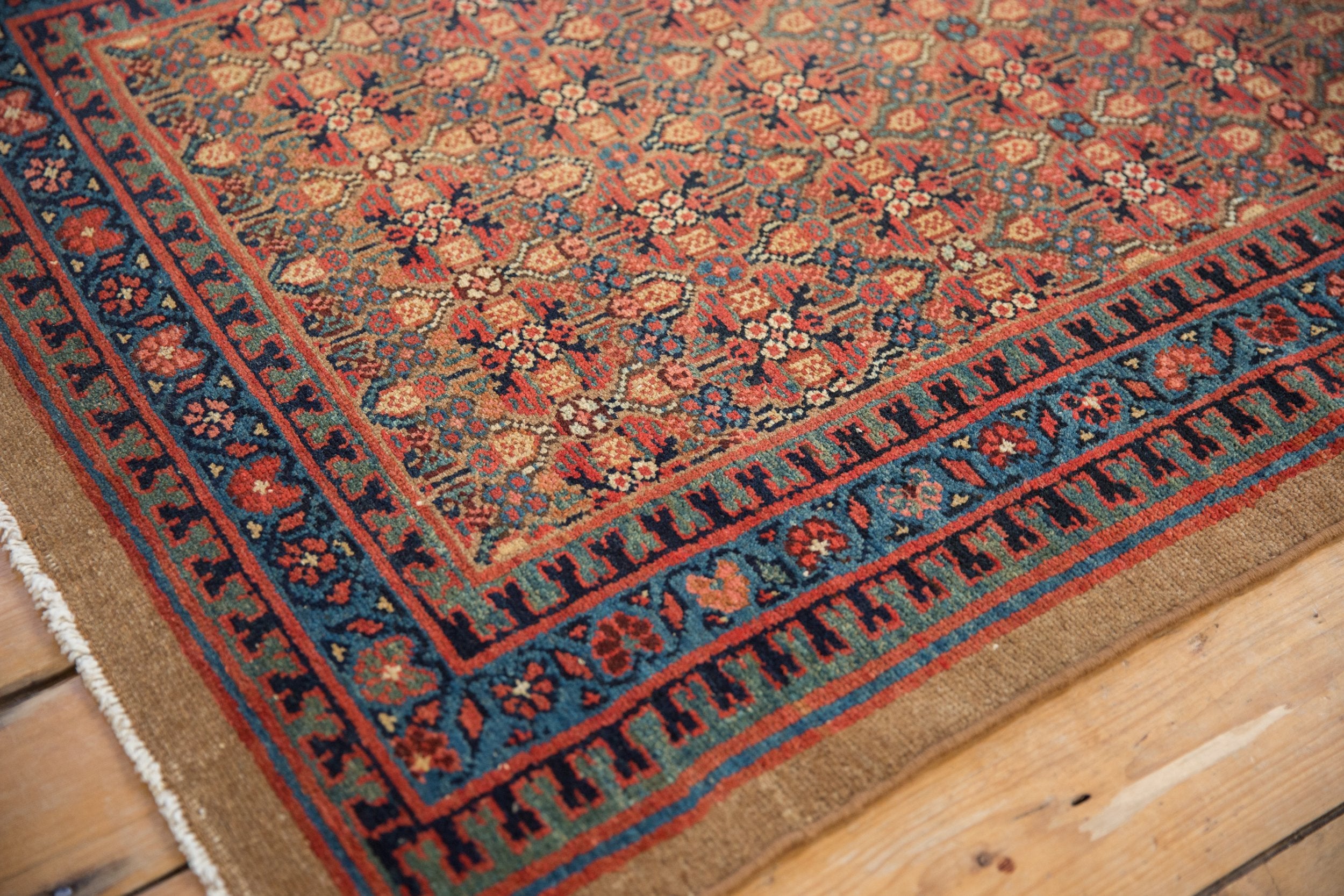 3.5x9.5 Vintage Camel Hair Serab Rug Runner