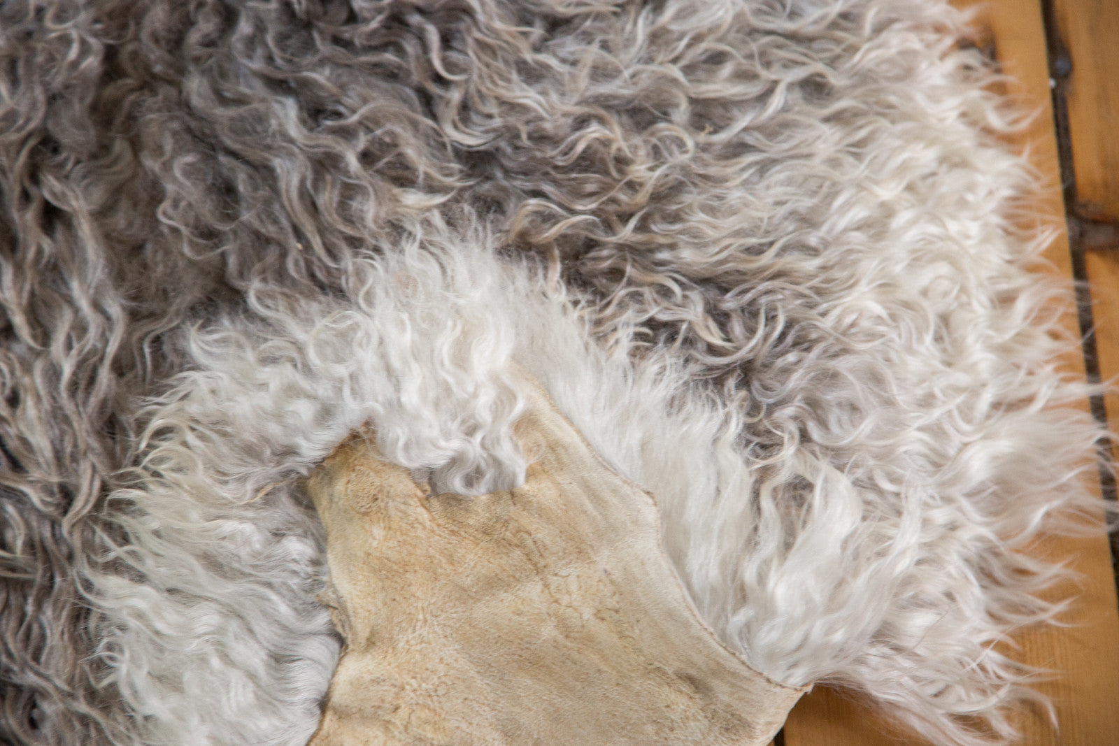 2x3 New Angora Throw Rug